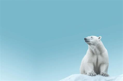 Images de Fond Polaire Téléchargement gratuit sur Freepik