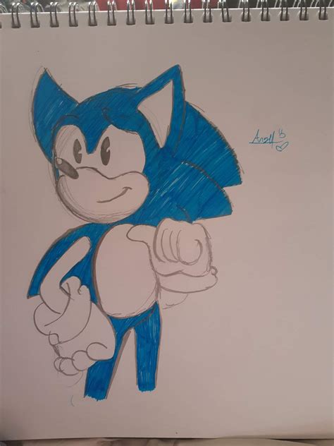 Classic Sonic D Sonic The Hedgehog Amino