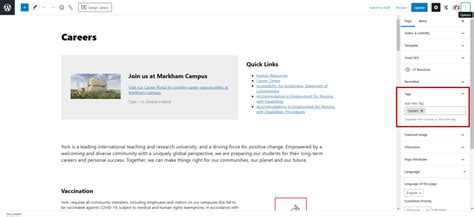 Tagging And Taxonomy Digital Experience Hub