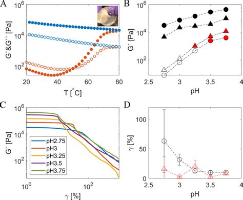 A Evolution Of The Linear Viscoelastic Properties Upon Imposing A