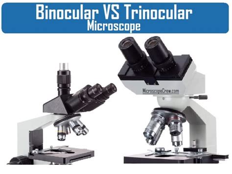 Guide Archives Microscope Crew