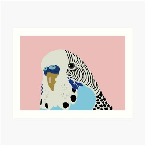Blue Male Budgie Illustration Art Print For Sale By Angelcreates