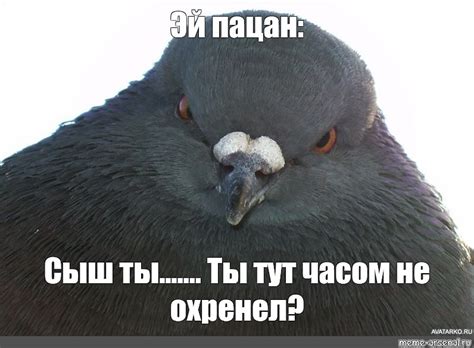 Meme Эй пацан Сыш ты Ты тут часом не охренел All Templates Meme