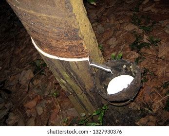 375 Liquid Condom Images Stock Photos Vectors Shutterstock