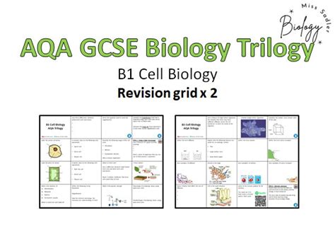 Aqa Trilogy B1 Cell Biology Revision Grids Teaching Resources