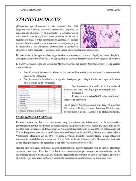 Staphilococcus Pdf Staphylococcus Aureus Infección Del Tracto