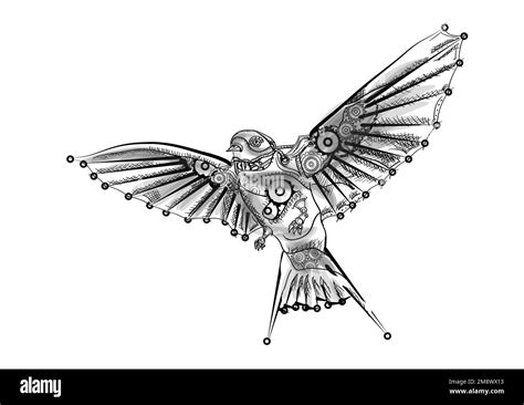 Steampunk Bird Vector Illustration Isolated On White Stock Vector Image And Art Alamy