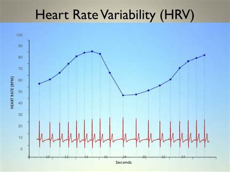 Hrv Heart Rate Variability Chart At Charlie Gladys Blog