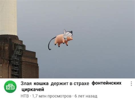 осторожно злая кошка Memi Sfondi Vintage