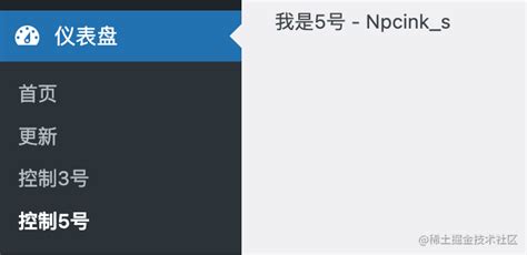 00：讲透wordpress 菜单开发 添加菜单和子菜单wordpress菜单 Csdn博客