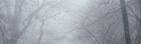 Nomu X Reader On Tumblr