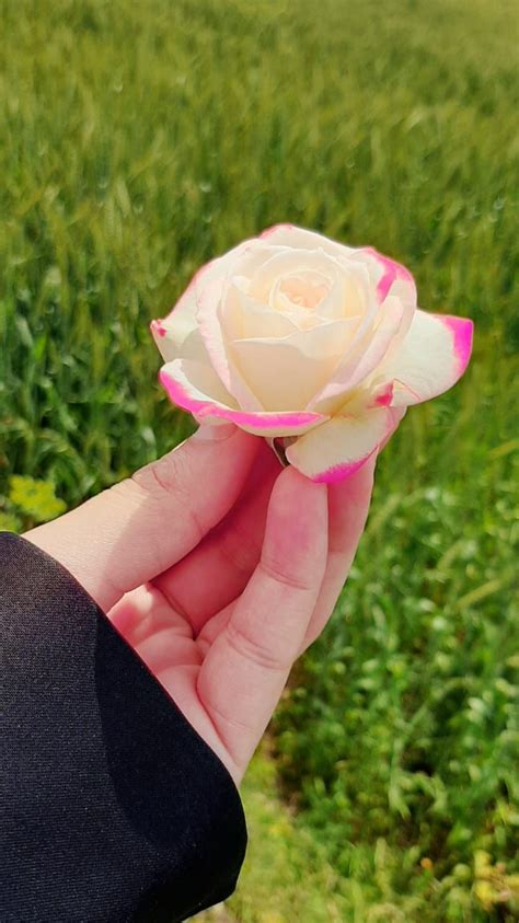 Adeeba Rafi On Linkedin 𝐓𝐨𝐝𝐚𝐲 𝐬𝐨𝐦𝐞𝐨𝐧𝐞 𝐠𝐚𝐯𝐞 𝐦𝐞 𝐚 𝐟𝐥𝐨𝐰𝐞𝐫 Yep You Heard