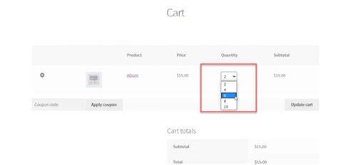 10 Best Woocommerce Plugins To Set Minimum And Maximum Quantity During Checkout 2024 Learnwoo