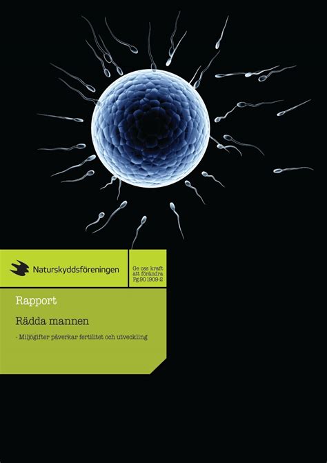 Rädda Mannen Miljöter Påverkar Fertilitet Och Utveckling