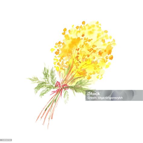 미모사 노란 꽃 수채화 꽃다발 그림 꽃 인사말 카드 장식 결혼식 초대장 꽃 디자인 미모사에 대한 스톡 벡터 아트 및 기타 이미지