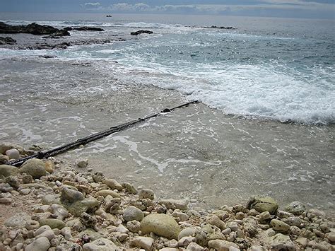 Micrófonos Y Cables Subacuáticos Así Funcionan Las Estaciones