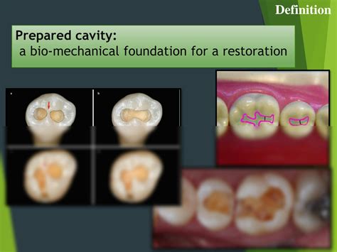 Solution Pre Clinical 2 Lab Classification Studypool