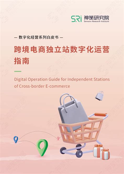 Calibre Web 《跨境电商独立站数字化运营指南》 24页