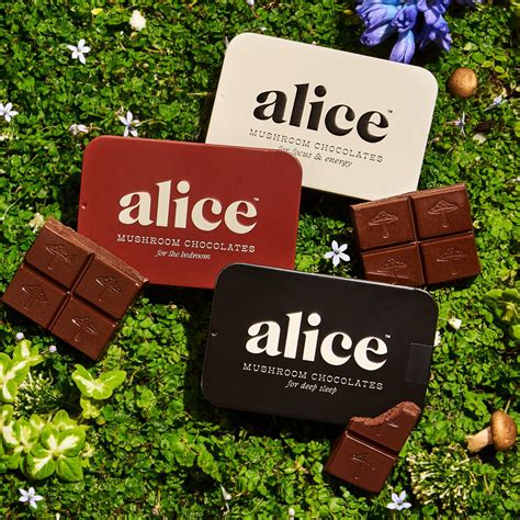 Mushroom Chocolates For Energetic Days Restful Nights And Stamina Alice Mushrooms Alice Mushrooms