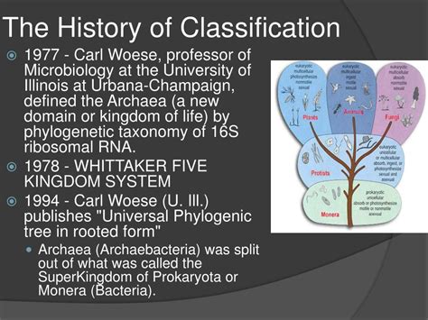 Ppt Evolution Of The Classification System For Organisms Powerpoint