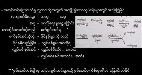 G9 Science Chapter 4 Part 2 Grade 9 အဌမတန်း ဘာသာရပ်အလိုက် သင်ခန်းစာ