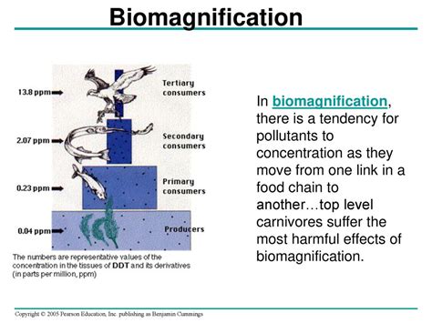 Chapter 55 Ecosystems Ppt Download