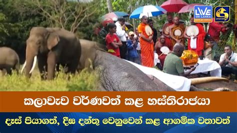 කලාවැව වර්ණවත් කළ හස්තිරාජයා දෑස් පියාගත් දීඝ දන්තු වෙනුවෙන් කළ ආගමික වතාවත් Youtube