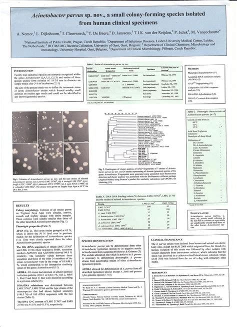 Pdf Acinetobacter Parvus Sp Nov A Small Colony Forming Species