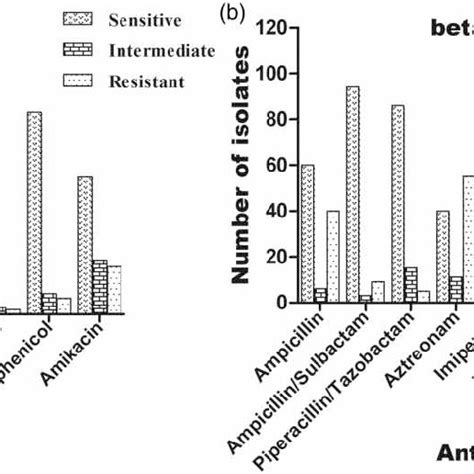 Resistance Pattern Of Esbl Positive Isolates A Non β Lactam Download Scientific Diagram