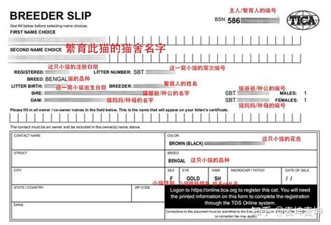 品种猫TICA血统证书注册码详解 知乎