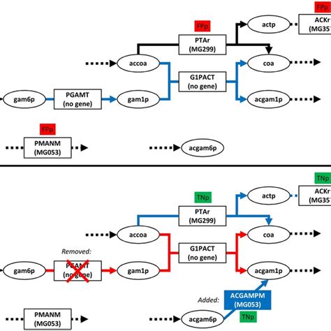 Gap Filling Algorithm Weighted Biochemistry Databases Were Generated