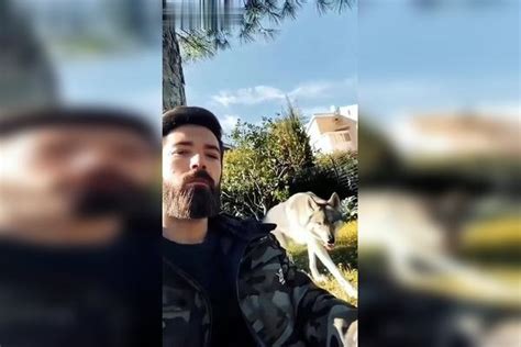 外公送小哥一只小奶狗陪伴，养大后安全感爆棚小奶小哥安全感