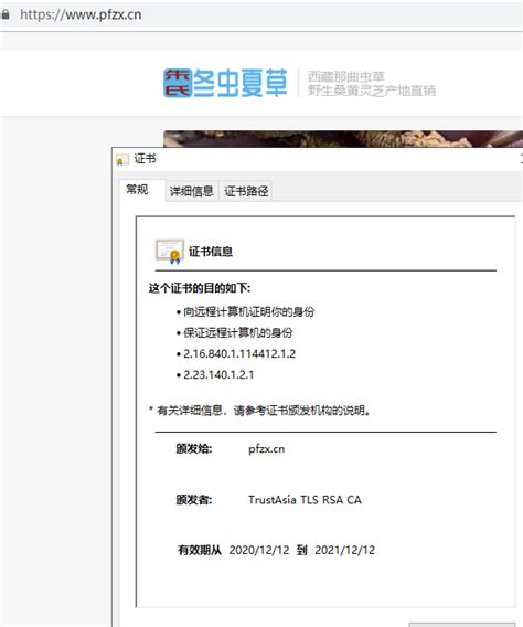 wordpress超过了站点的最大上传限制 常见问题