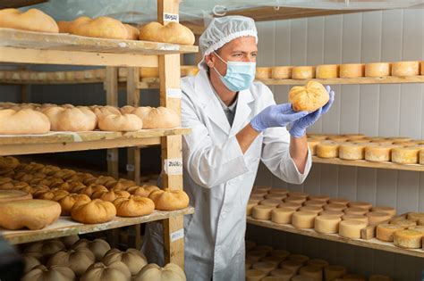 보호 마스크를 쓴 치즈 유제품 작업자가 치즈의 품질을 확인합니다 종이의 흰 조각에 숫자는 치즈가 숙성 챔버에 넣어 때 날짜입니다 30 34세에 대한 스톡 사진 및 기타