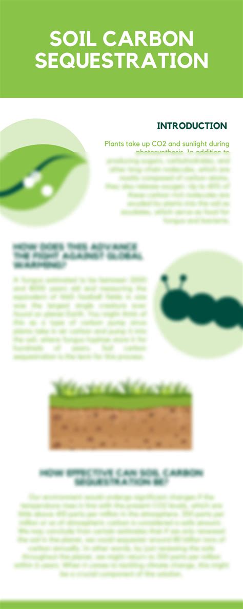 Solution Infographic On Soil Carbon Sequestration Studypool