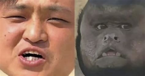 “동네 아저씨인 줄” 사람 닮은 원숭이 中서 화제…‘도플갱어 남성 등장