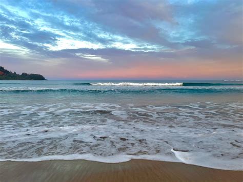 Lisa Seed 🌹 Lisaseed • Instagram Photos And Videos