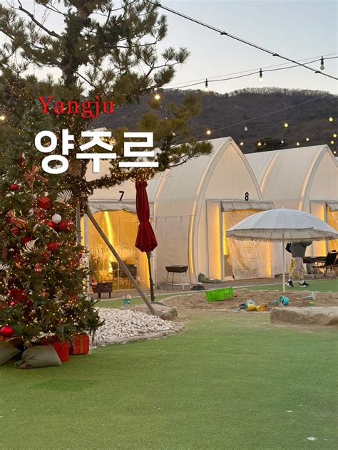 양주 양주르 애견동반 캠핑식당 서울근교글램핑 네이버 블로그