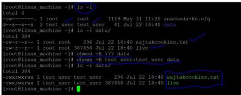 linux directory permissions guide to linux directory permissions