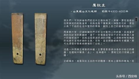 館藏細圖看山東龍山文化玉器 每日頭條