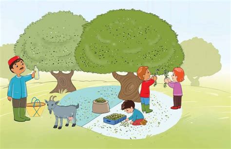 المشاهد المصورة من كتاب القراءة السنة الاولى الجديد موقع مدرستي