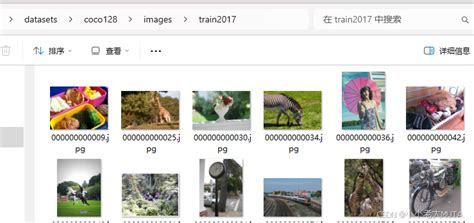 coco128数据集格式 csdn博客