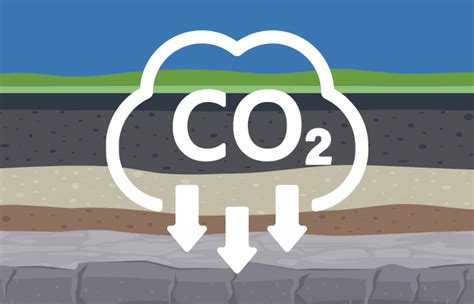 What Is Carbon Sequestration NEG8 Carbon