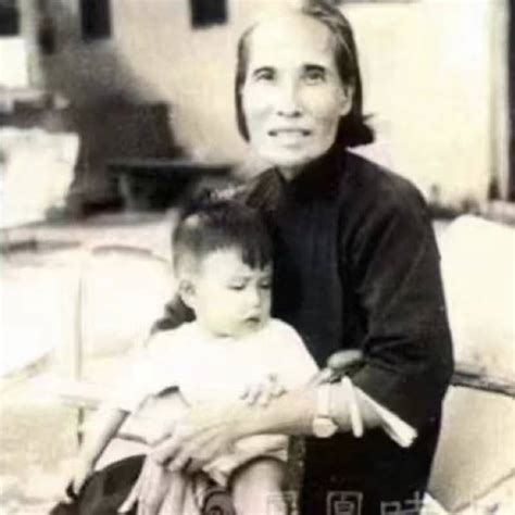 马英九不是个好孙子