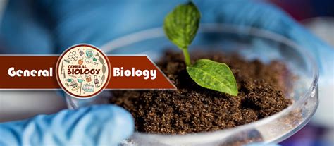 ‎بەشەکانی زانکۆ و بەشەکانی زانکۆ و پەیمانگاکان