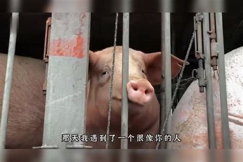 我肯定在几百年前就说过爱你我爱你我爱你