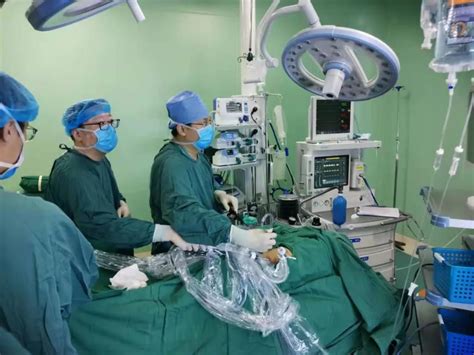 首例！强强联手让患癌儿童终获救 新闻动态 首都医科大学附属北京儿童医院保定医院保定市儿童医院