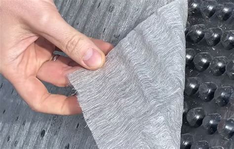 Для чого потрібна шиповидная мембрана