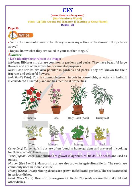 Ncert Solutions For Class 3 Evs Chapter 4 Getting To Know Plants
