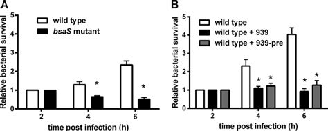 The B Pseudomallei Wild Type Strain Treated With Atpase Inhibitor And